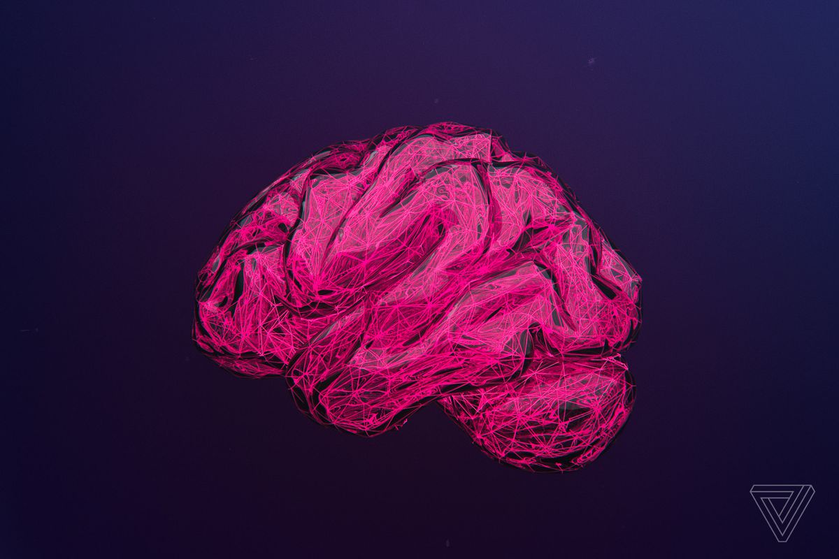 what stress does to your brain – Neurosoma